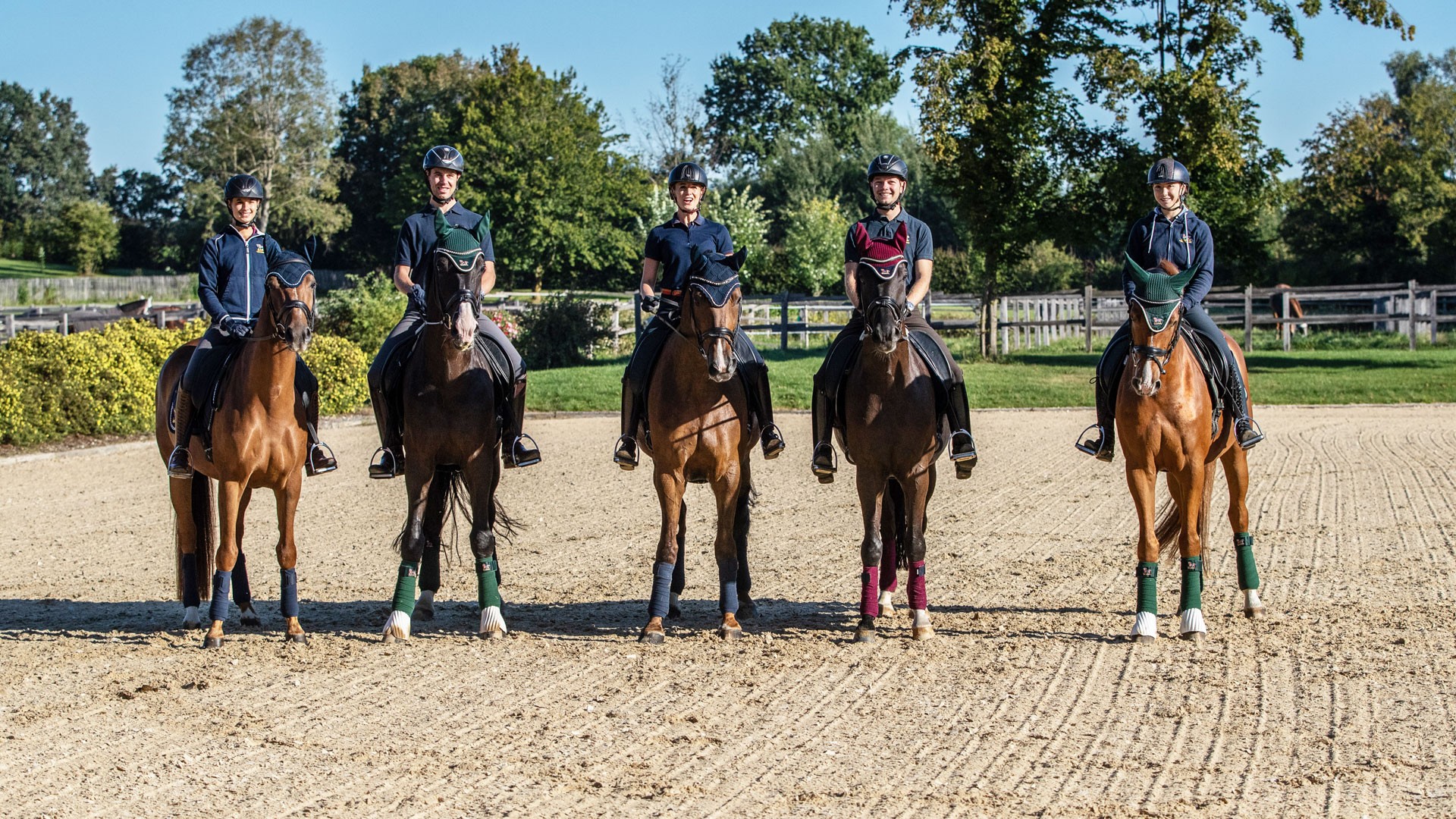 Team – Dressurpferde aus Aubenhausen