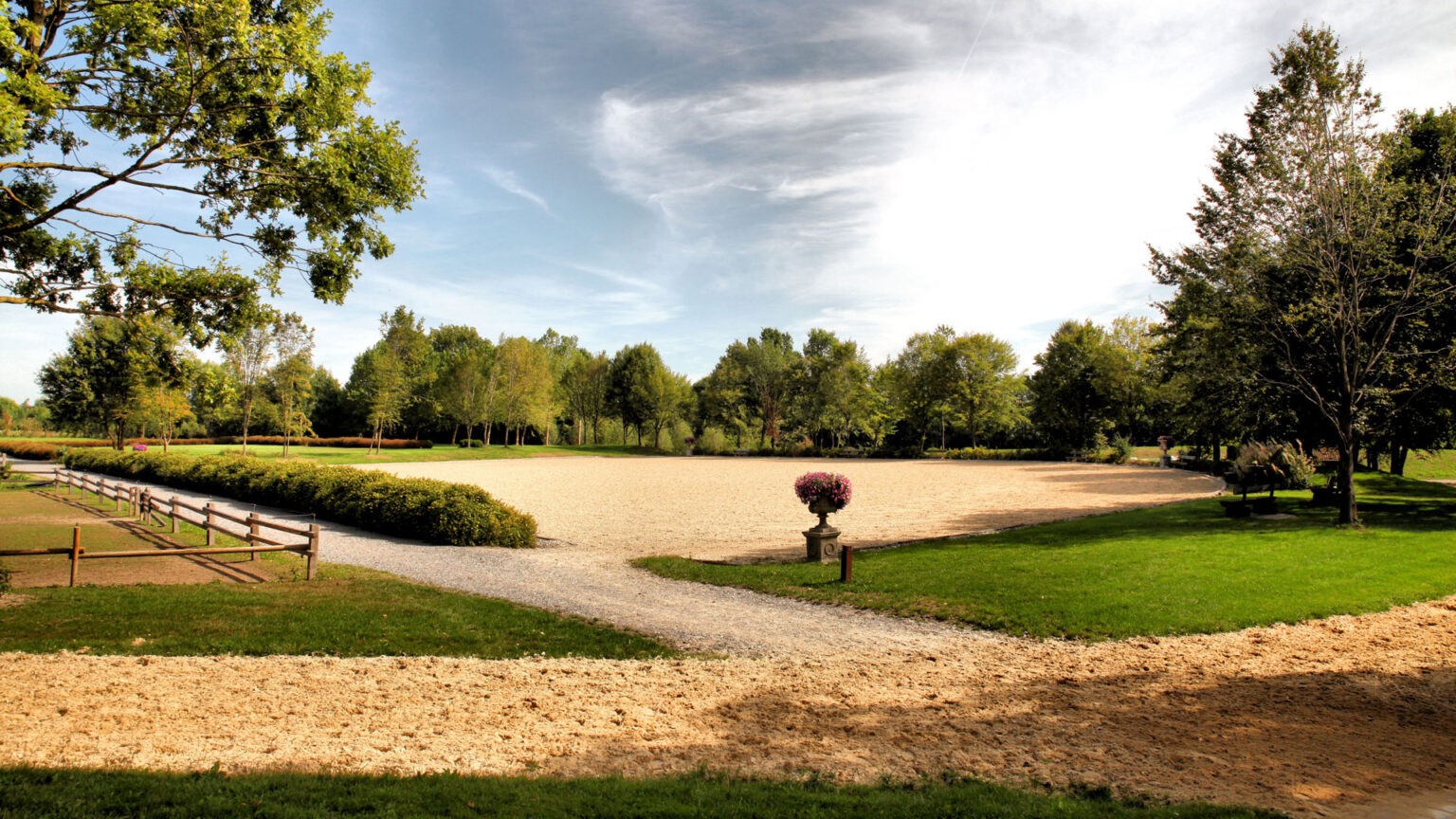 Dressurpferde aus Aubenhausen – Home of the Dressage Horse