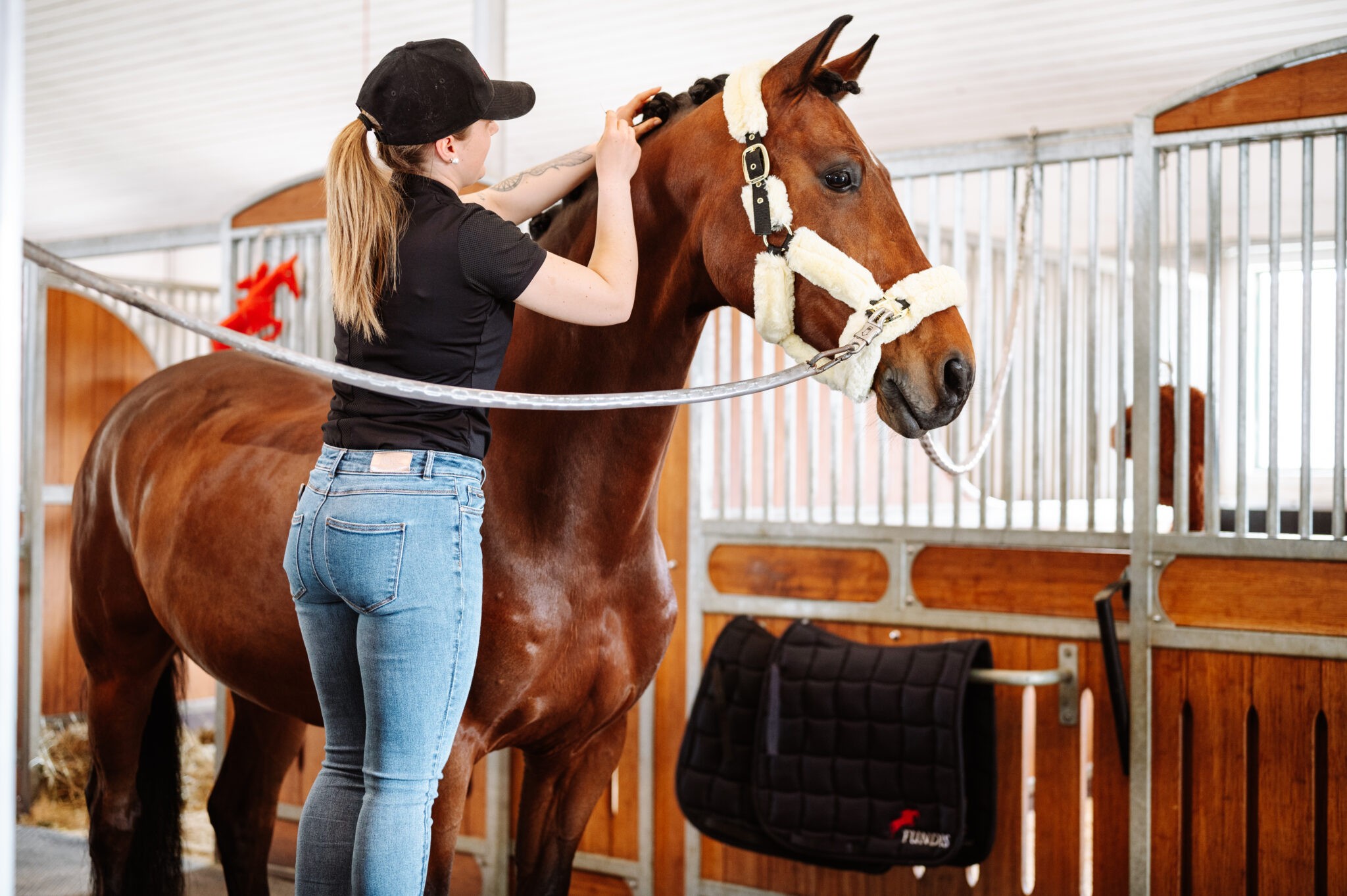 Jobs – Dressurpferde aus Aubenhausen