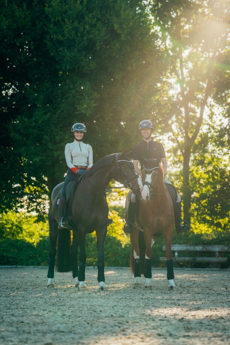 Dressurpferde aus Aubenhausen – Home of the Dressage Horse